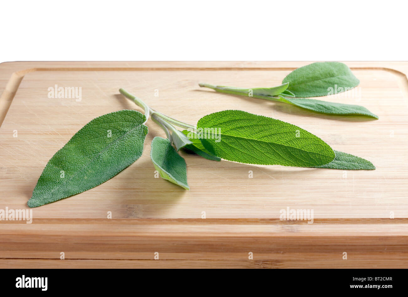 Feuilles de sauge Banque de photographies et d’images à haute ...