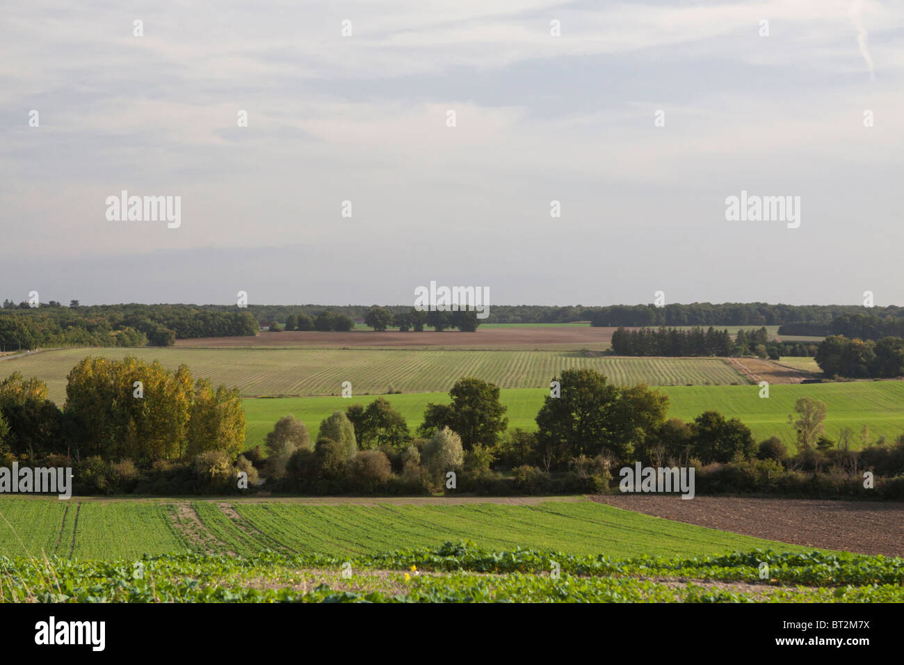 Campagne française Banque de photographies et d’images à haute ...