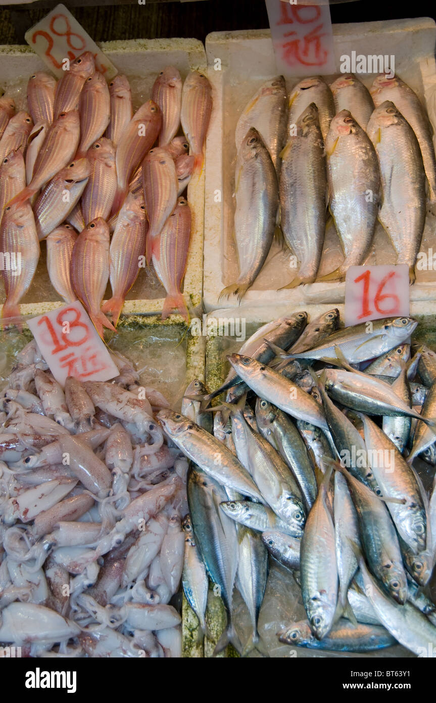Poisson mangeable Banque de photographies et d’images à haute ...