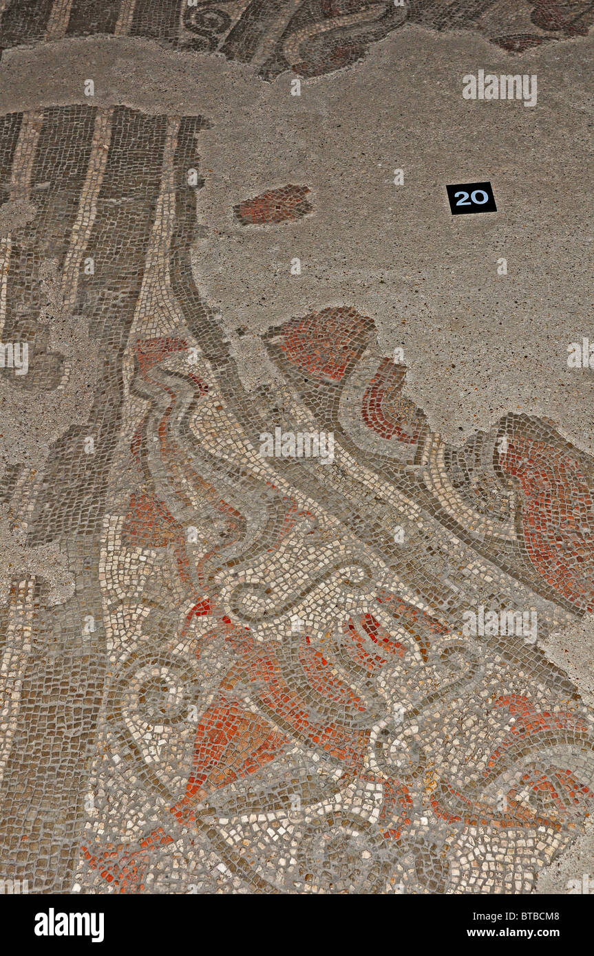 Bel exemple d'une mosaïque, remarquable pour la couleur et le détail ...