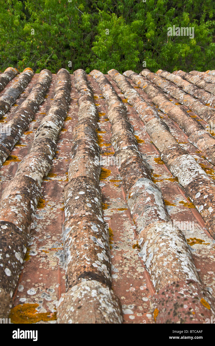 Terracotta roof tiles Banque de photographies et d’images à haute ...