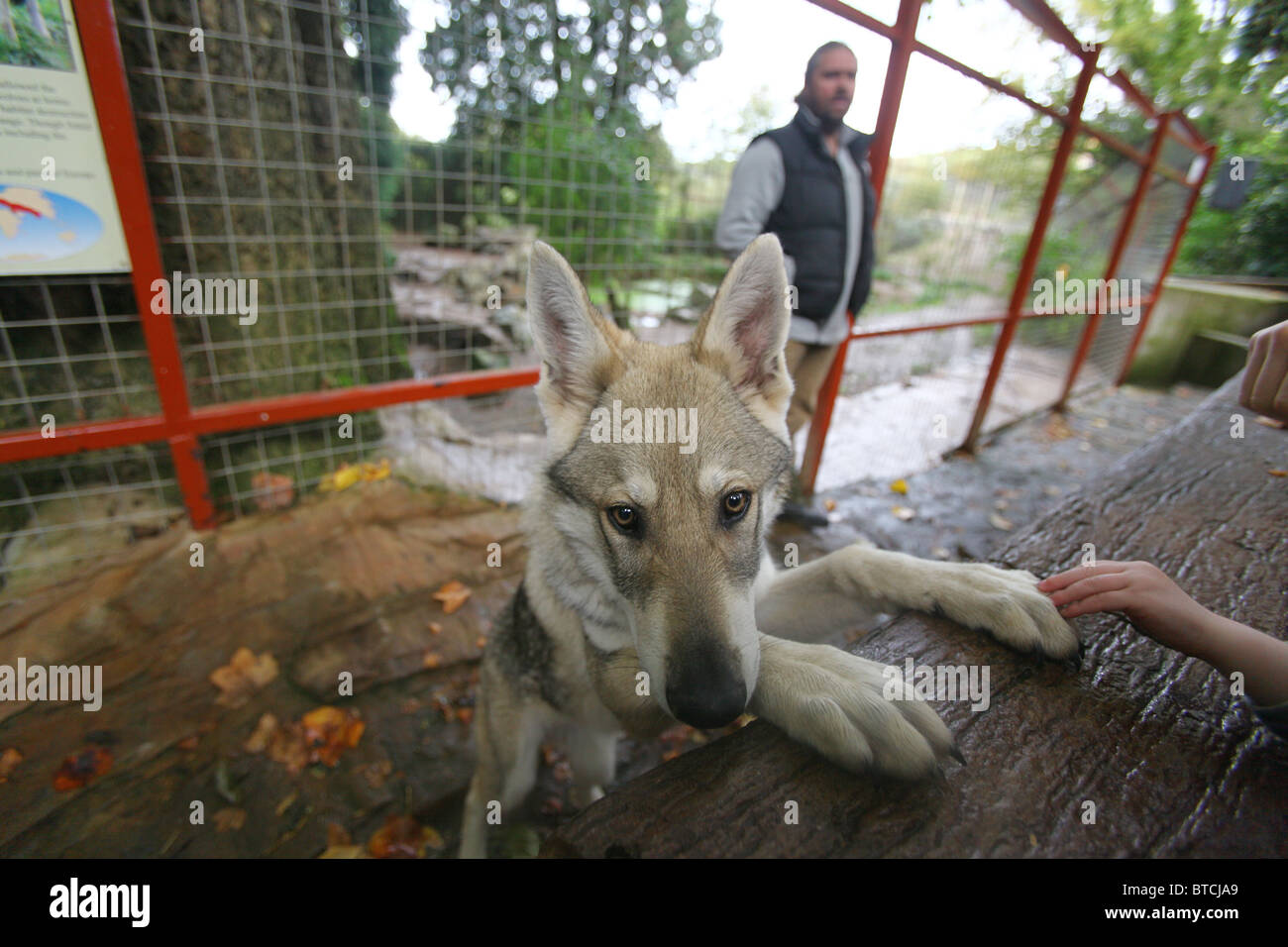 Shaun ellis Banque de photographies et d’images à haute résolution - Alamy