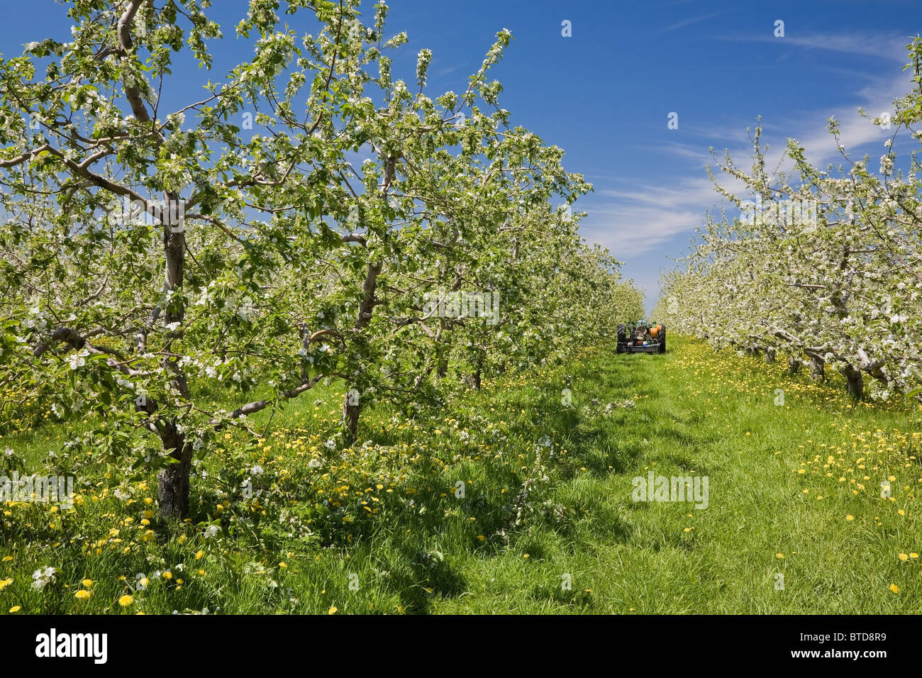 Machines de verger Banque de photographies et d’images à haute ...