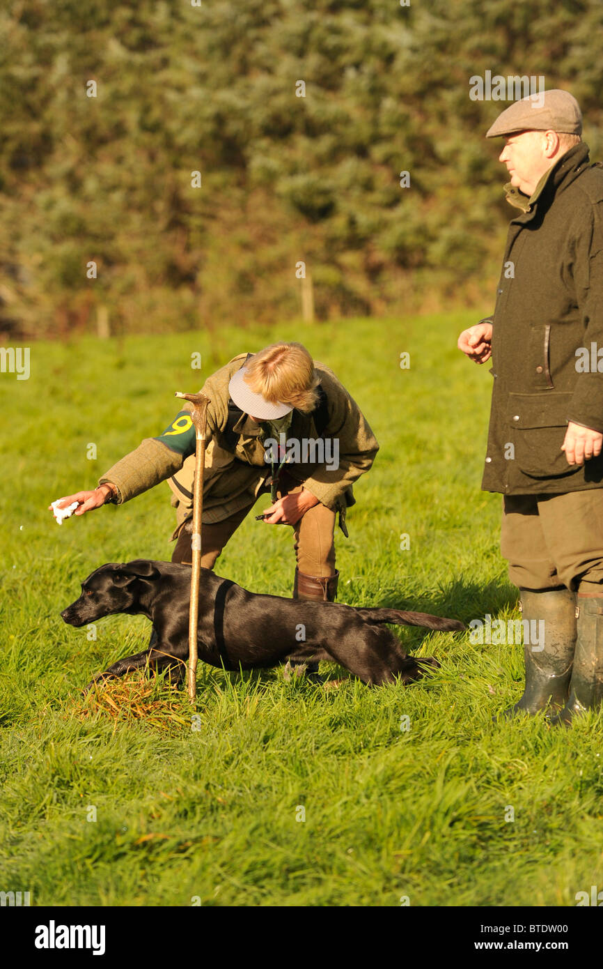 Field trials Banque de photographies et d’images à haute résolution - Alamy