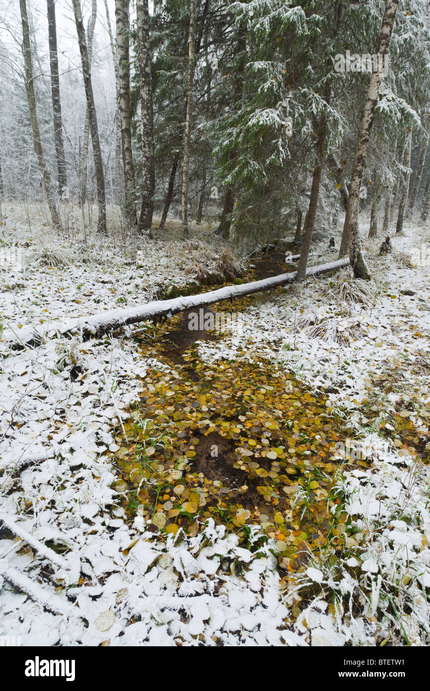 Début de l'hiver au printemps Banque de photographies et d’images à ...