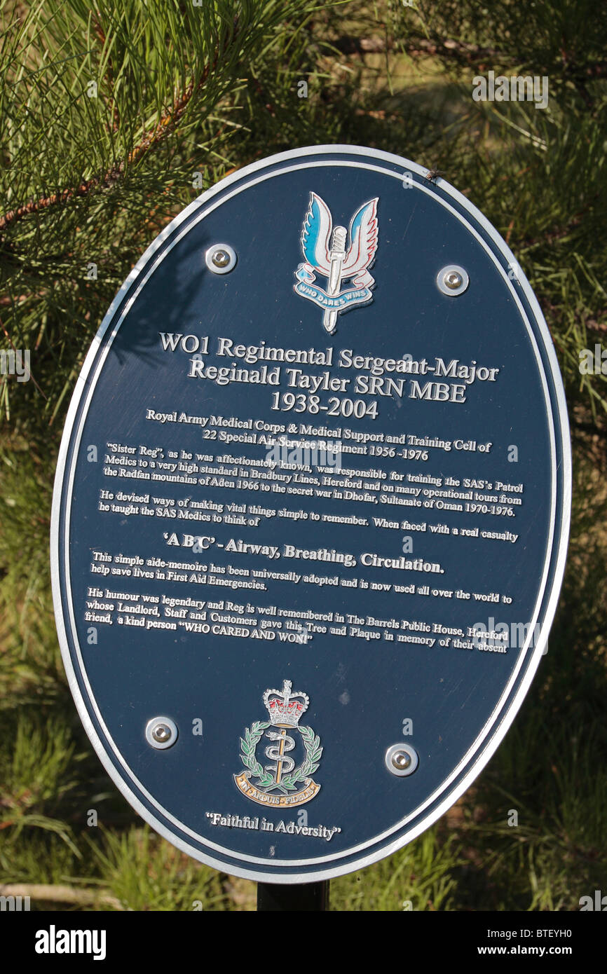 Plaque en l'honneur de Reginald Sgt-Mjr Tayler, SAS, infirmier de l ...