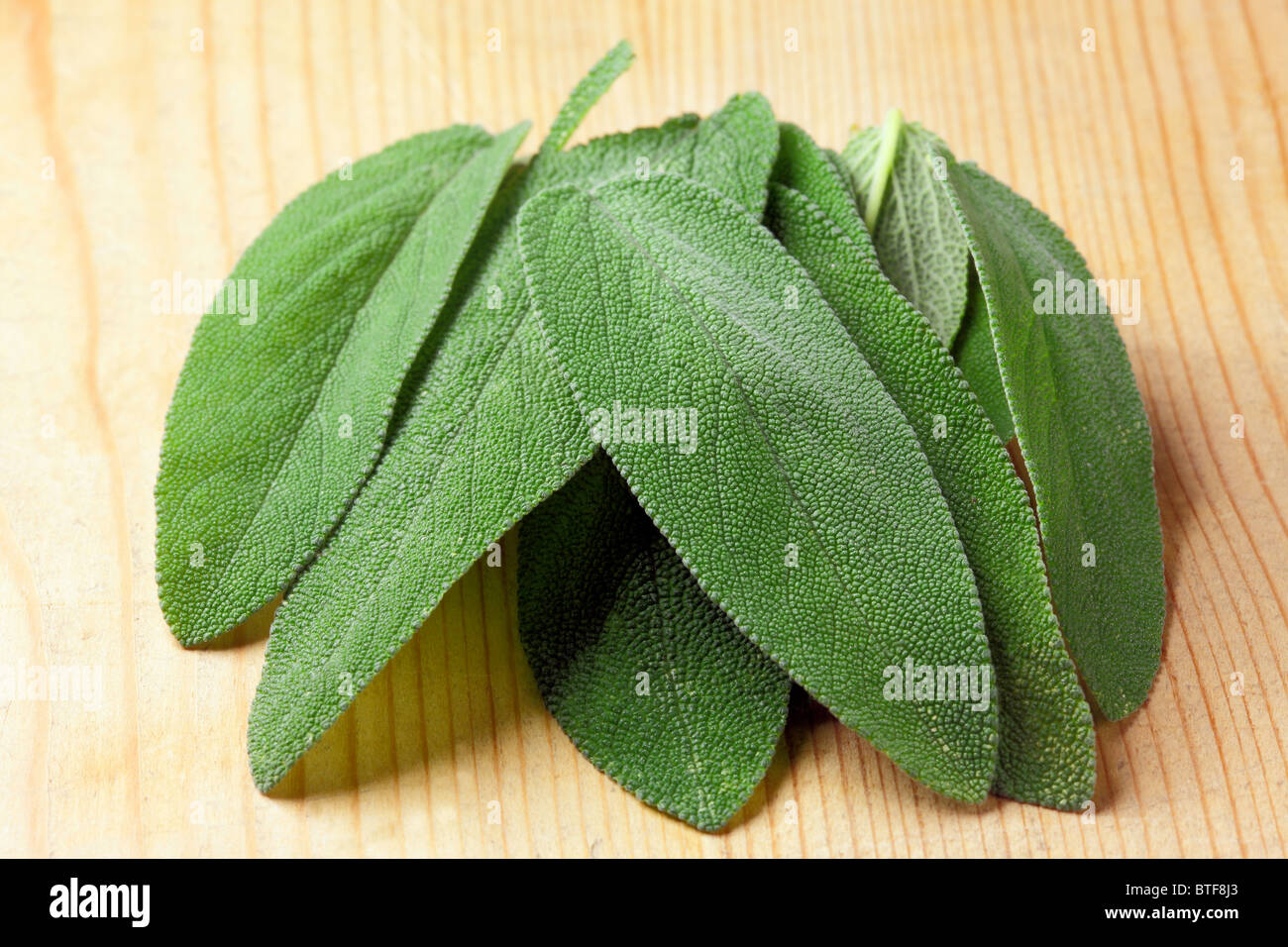 Feuilles feuille Banque de photographies et d’images à haute résolution ...