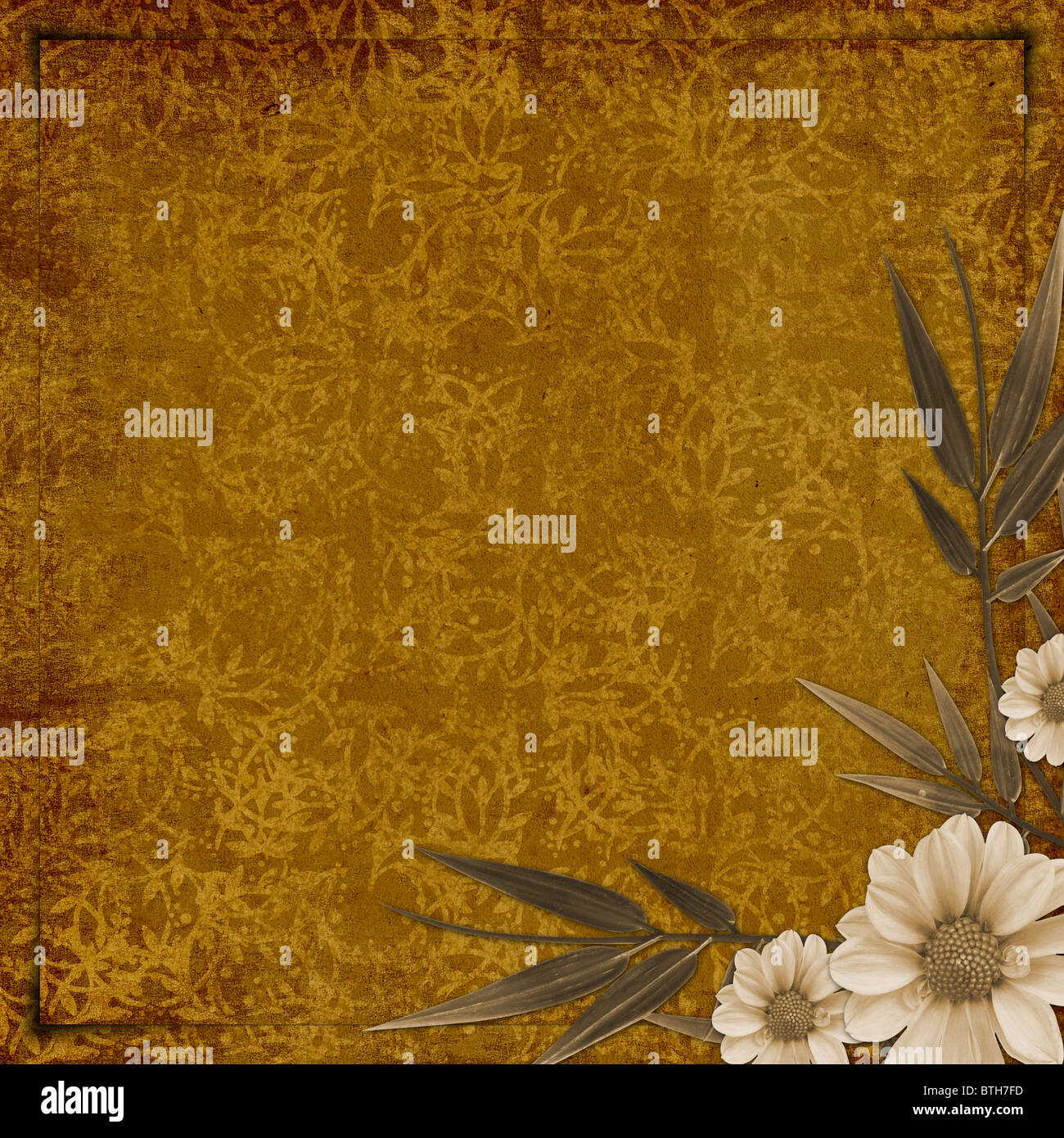 Dessin de fleur faner Banque de photographies et d’images à haute ...