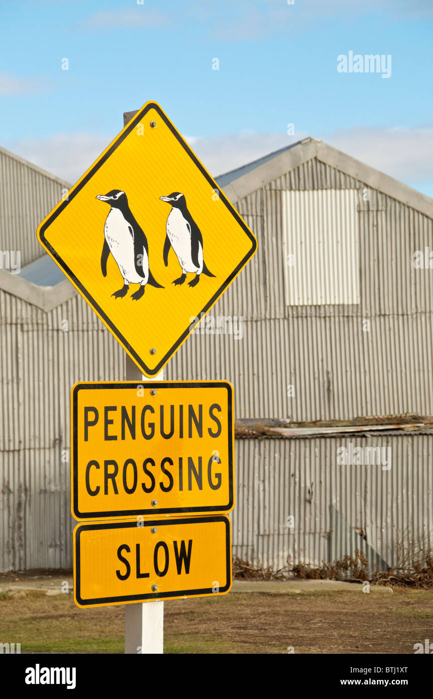 Penguins Crossing Sign Banque d'image et photos - Alamy