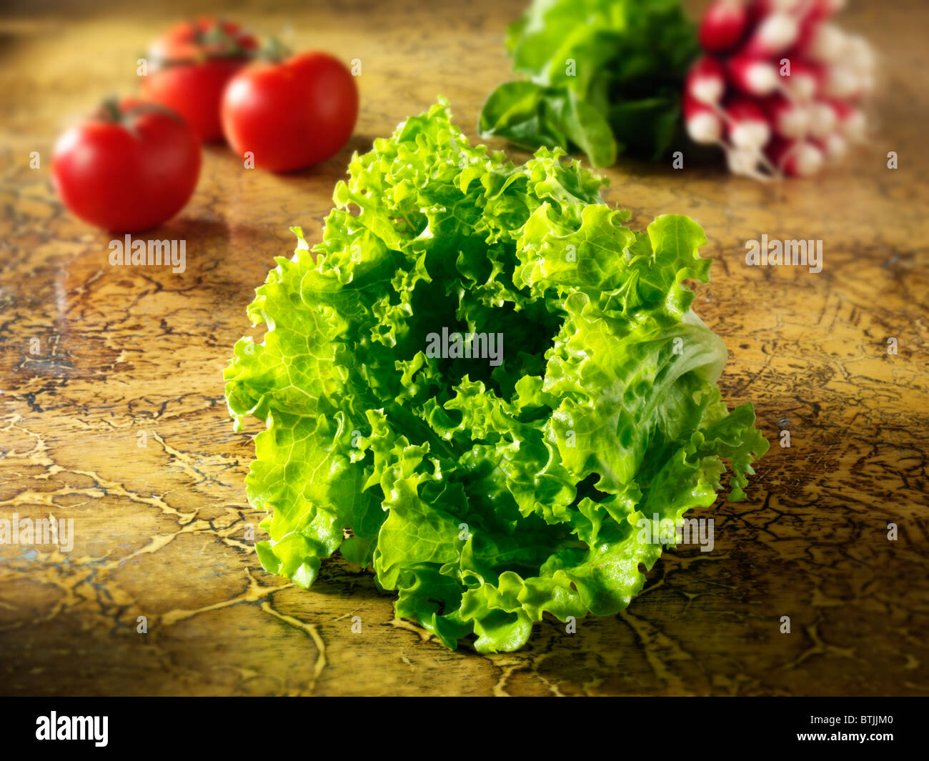 Batavia lettuce Banque de photographies et d’images à haute résolution ...