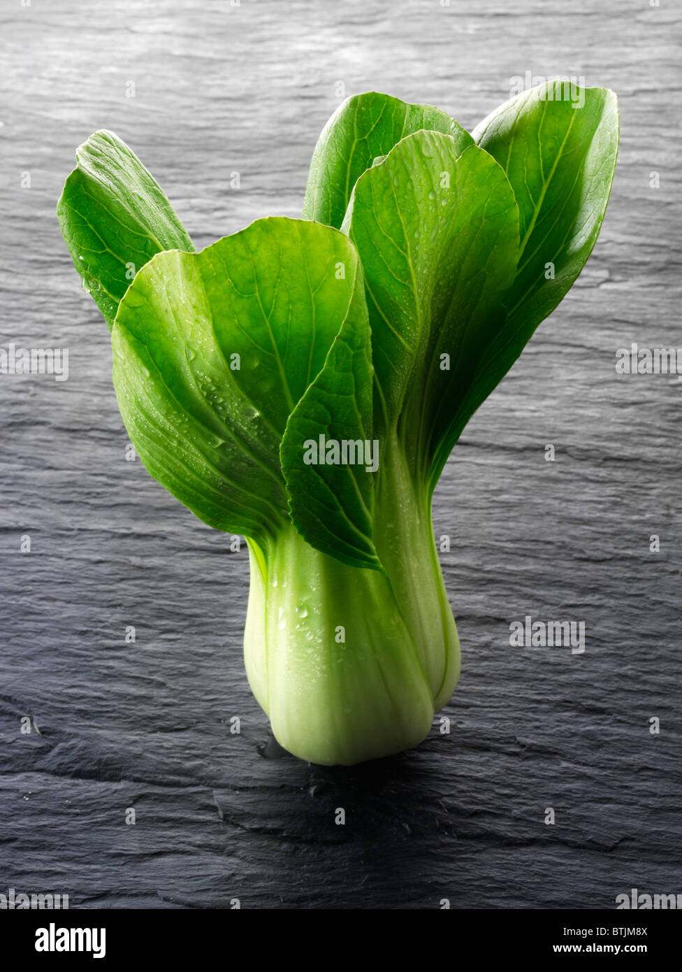 Pak choi Banque de photographies et d’images à haute résolution - Alamy