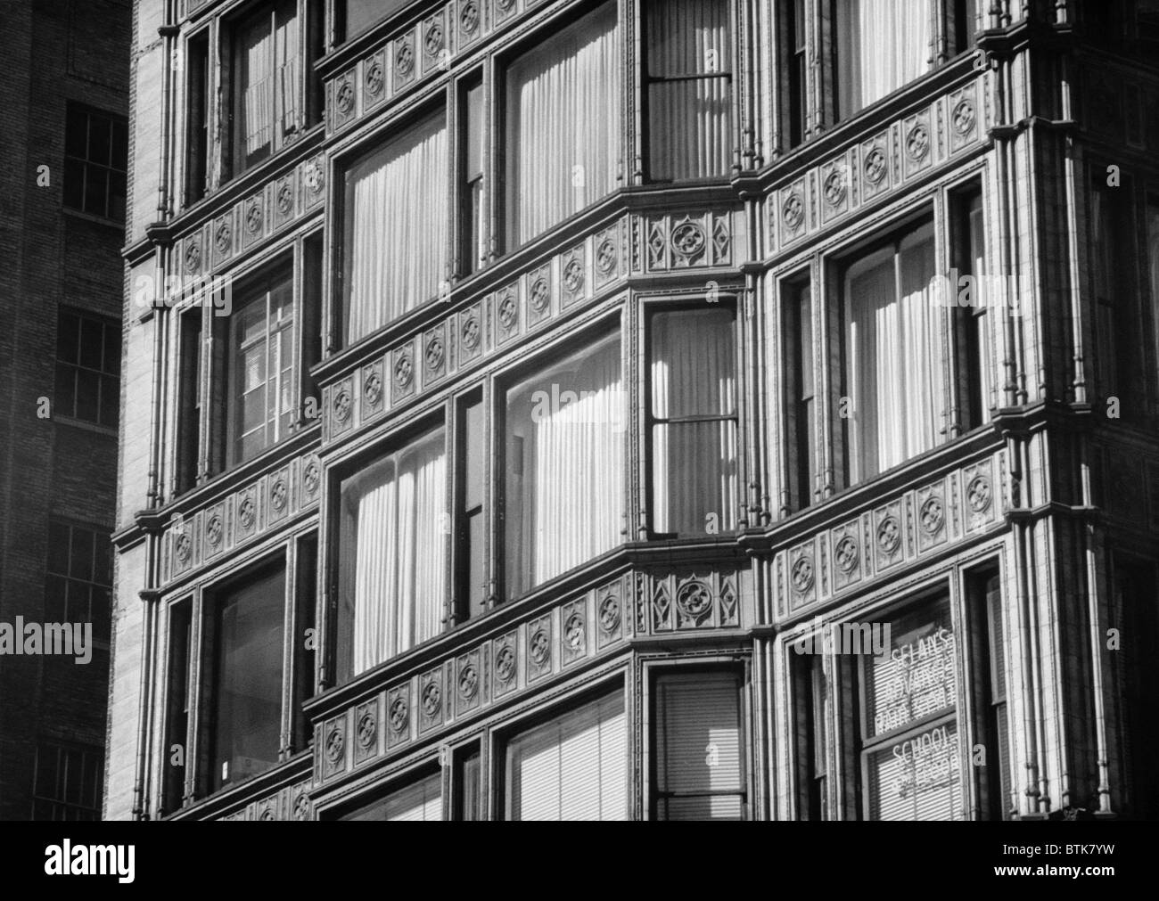 Surface radiculaire Banque d'images noir et blanc - Alamy
