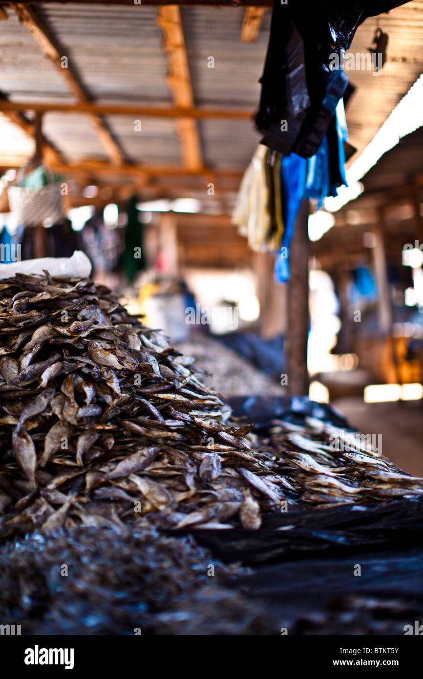 Vente de poisson en afrique Banque de photographies et d’images à haute ...