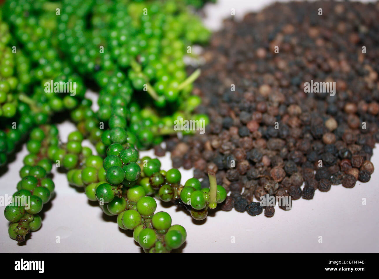 Spice varieties Banque de photographies et d’images à haute résolution ...