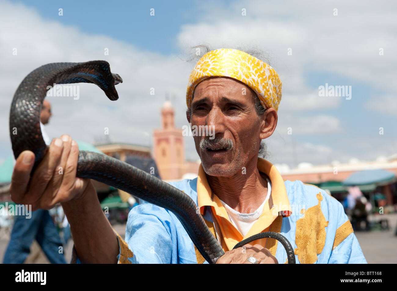 Moroccan cobra Banque de photographies et d’images à haute résolution ...