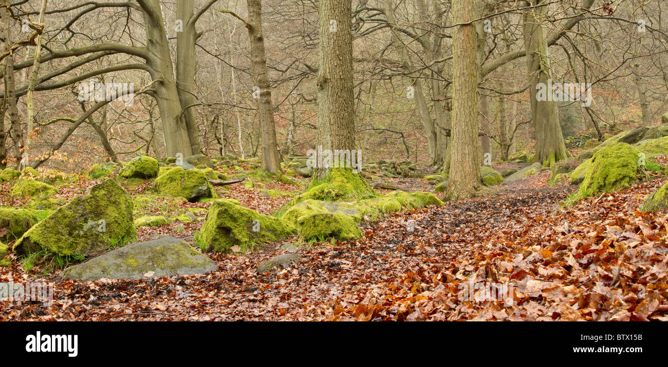 Padley gorge automne Banque de photographies et d’images à haute ...