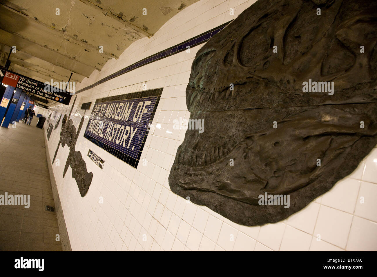 Natural history museum library Banque de photographies et d’images à ...