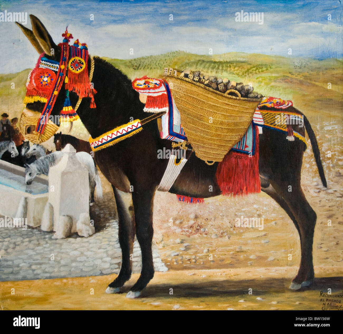 Spanish donkey Banque de photographies et d’images à haute résolution ...