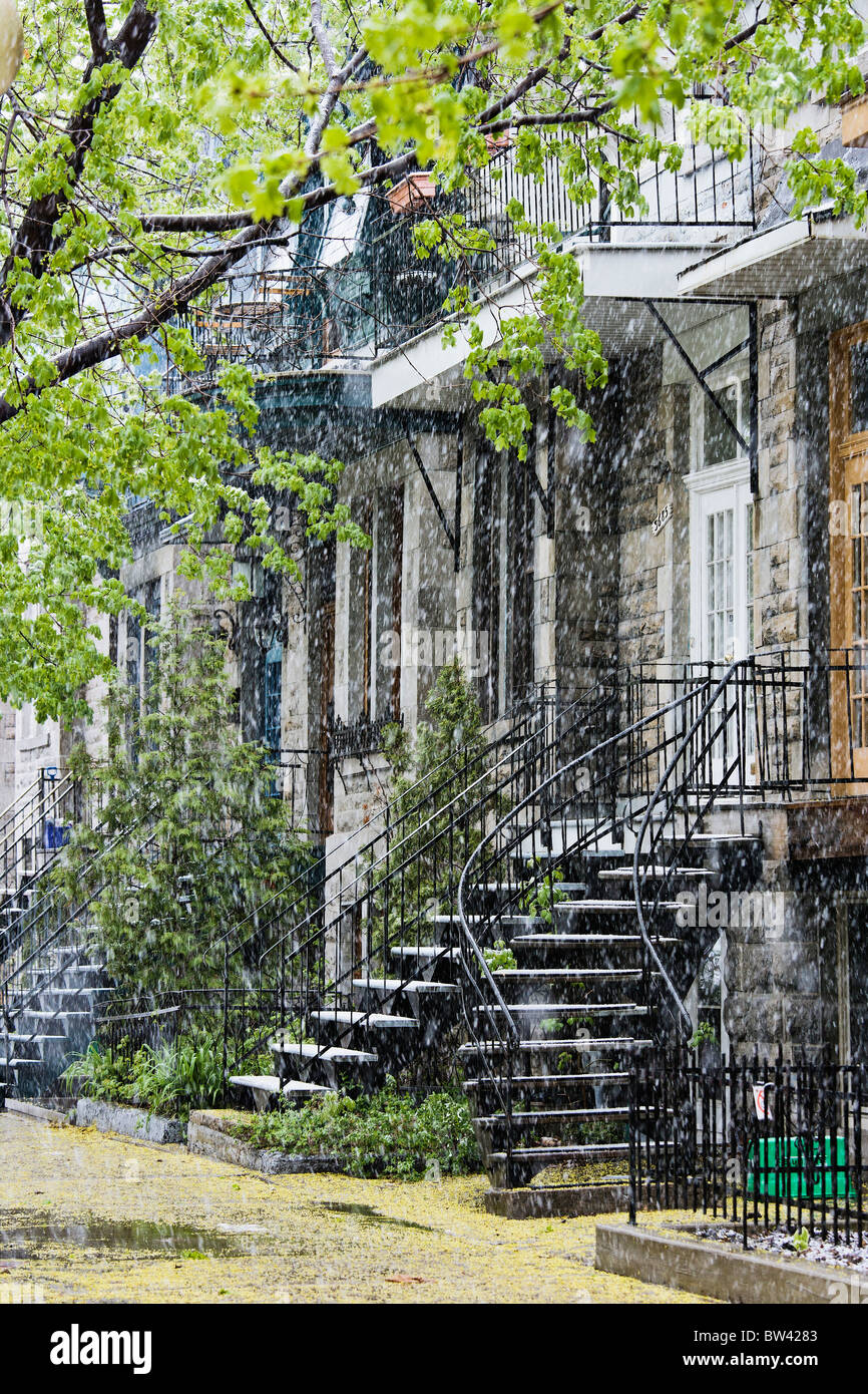 Laval quebec Banque de photographies et d’images à haute résolution - Alamy