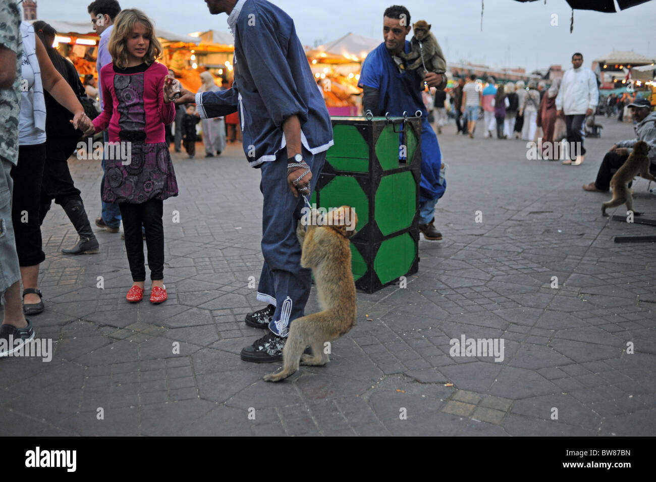 Marrakesh monkeys Banque de photographies et d’images à haute ...
