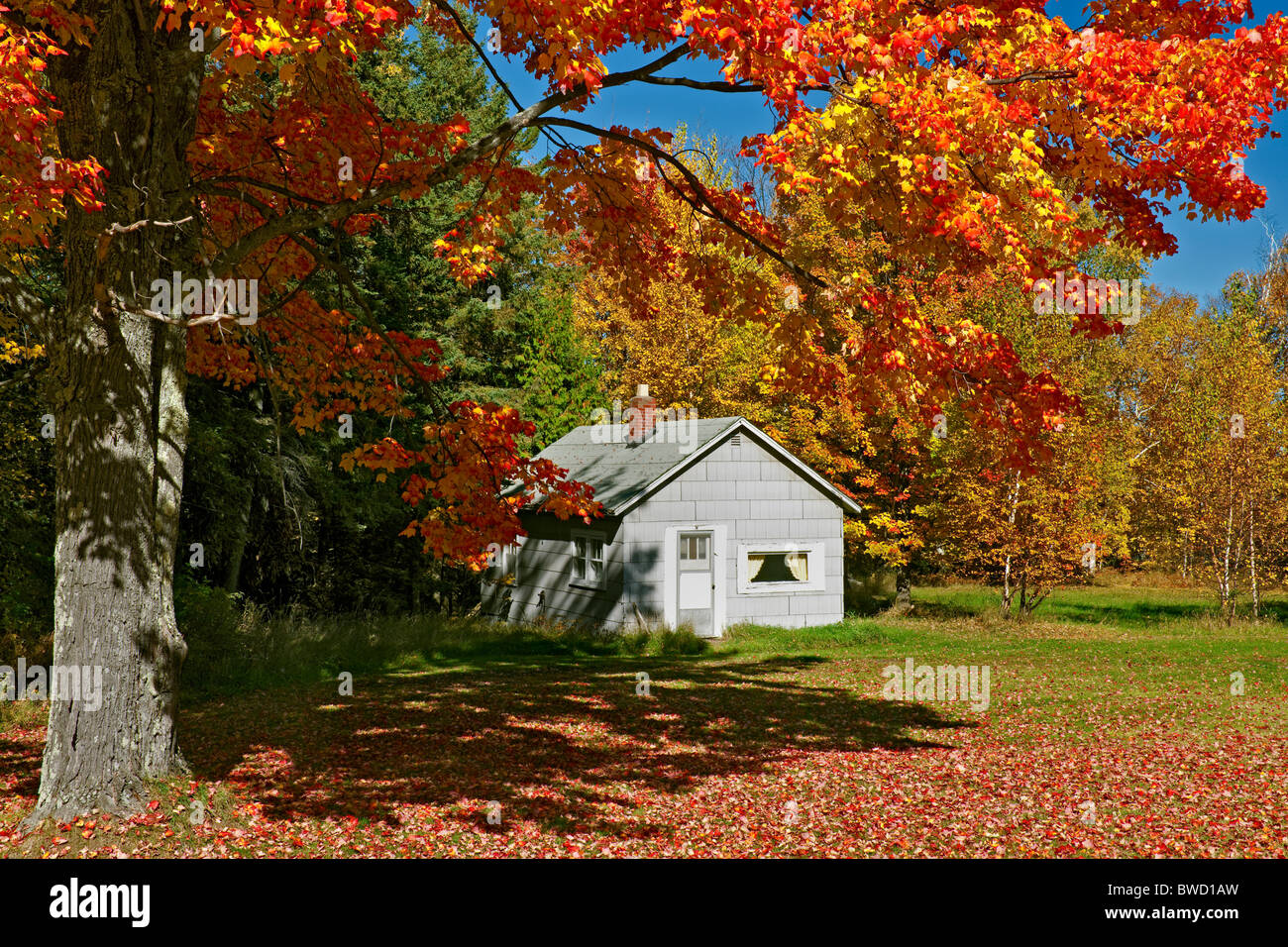 Ottawa national forest Banque de photographies et d’images à haute ...