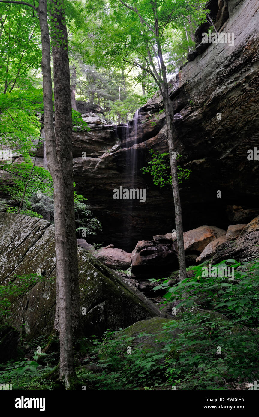 Chutes d'Anglin John B. Stephenson Forêt Memorial State Nature ...