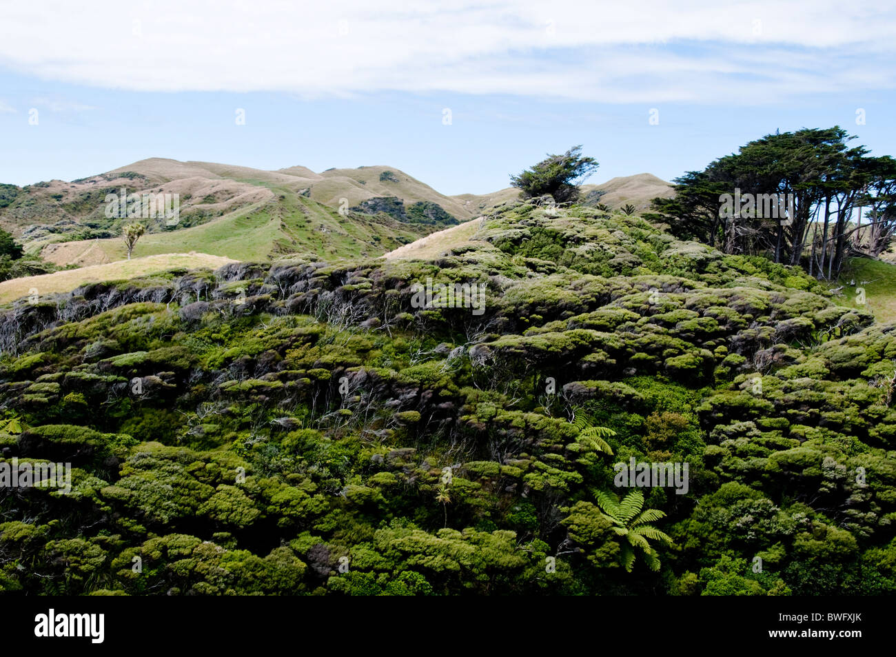 Farewell Spit,Golden Bay, Farewell Spit Nature Reserve,Kahurangi ...