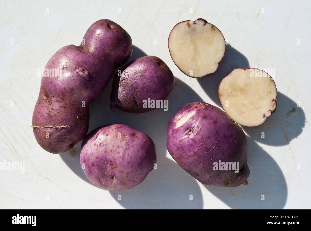 Les pommes de terre Banque de photographies et d’images à haute ...