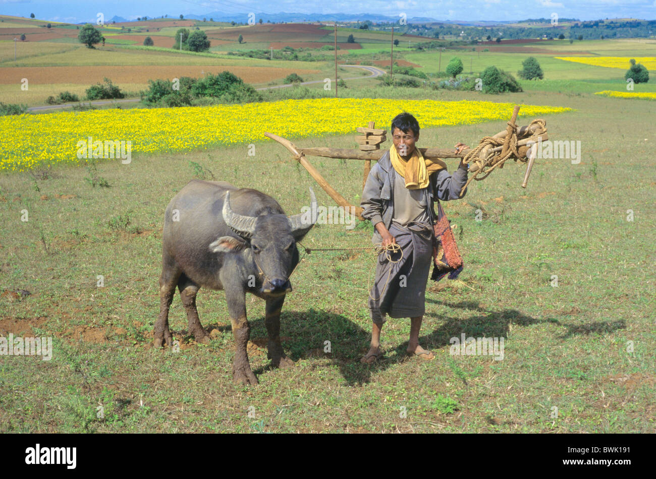 Agriculture agriculture charrue Banque de photographies et d’images à ...