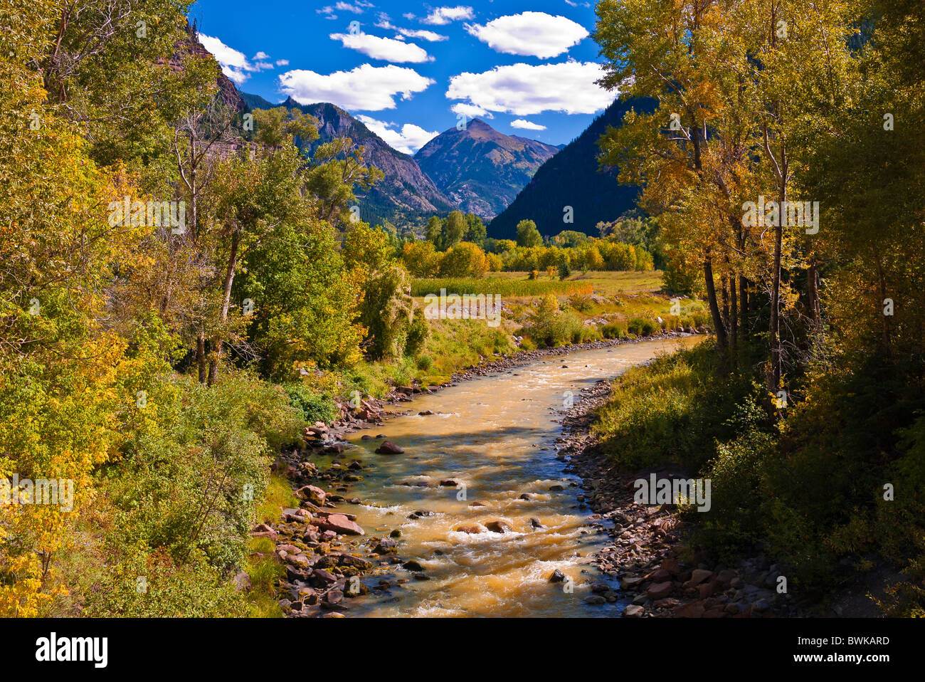 Uncompahgre national forest Banque de photographies et d’images à haute ...