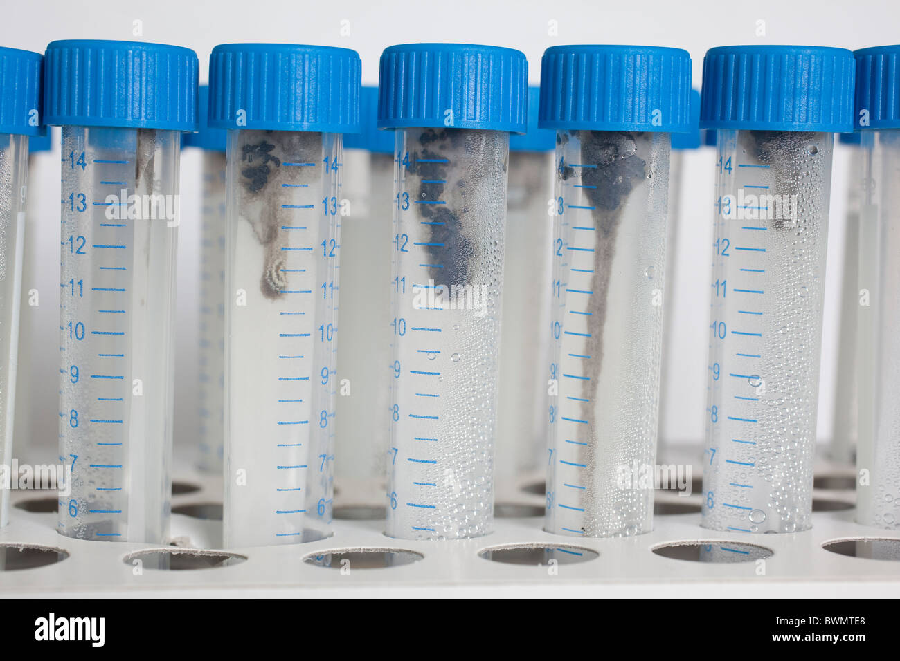 Vers intestinaux humain Banque de photographies et d’images à haute ...