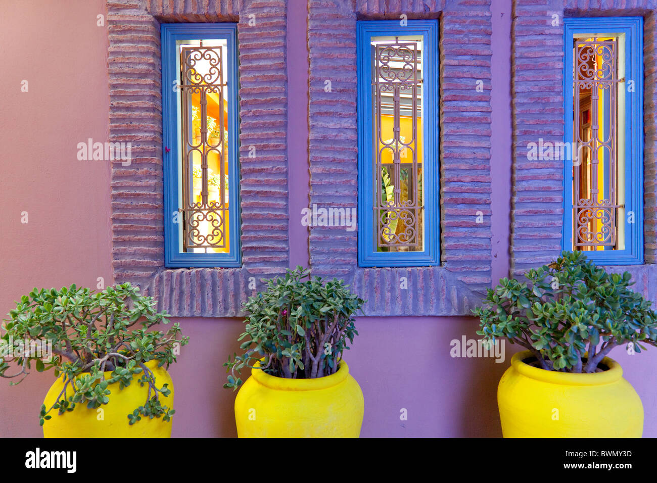 Jardin de majorelle Banque de photographies et d’images à haute ...