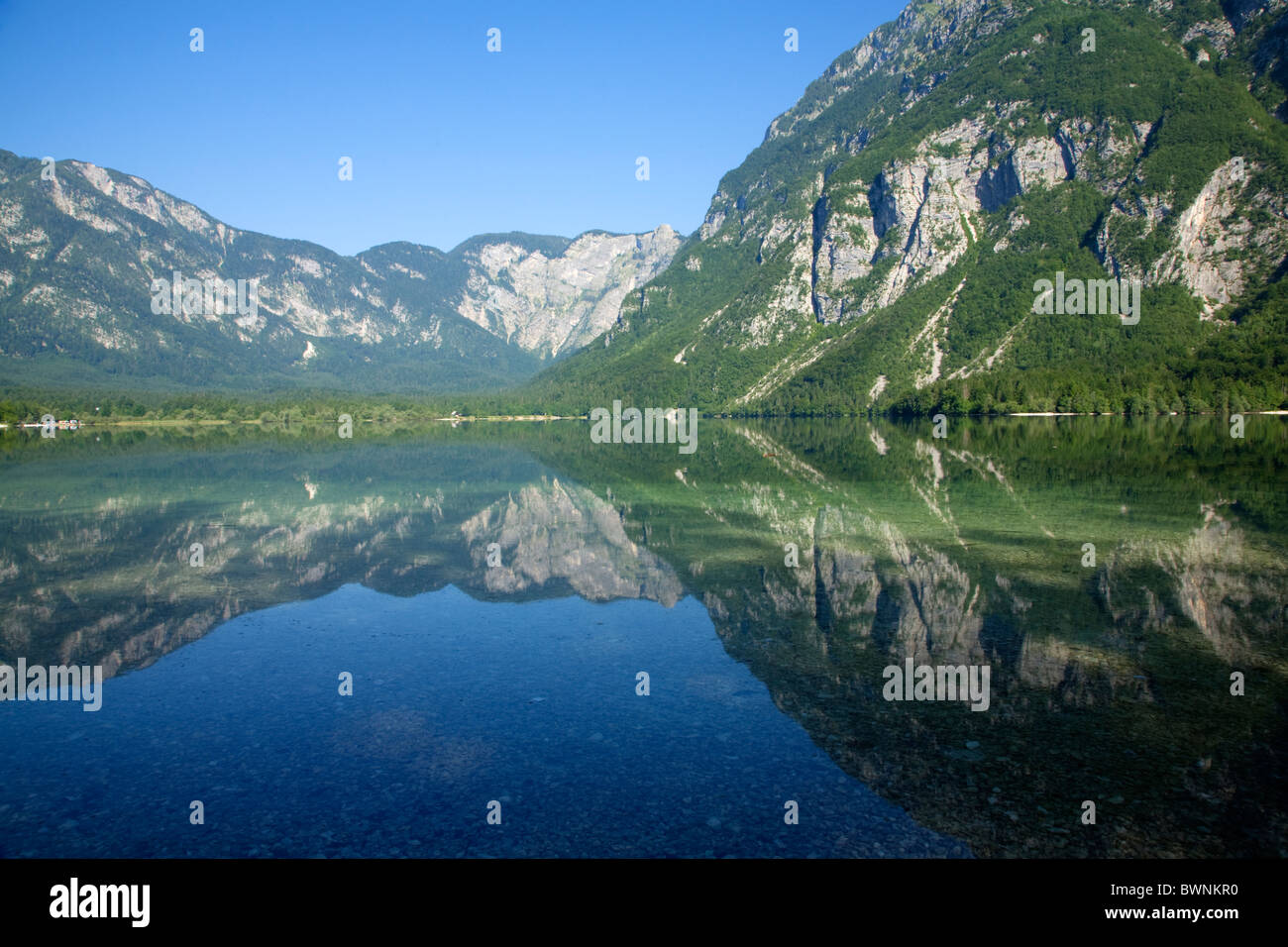 Lac de Bohinj , Parc national du Triglav , Slovénie Photo Stock - Alamy