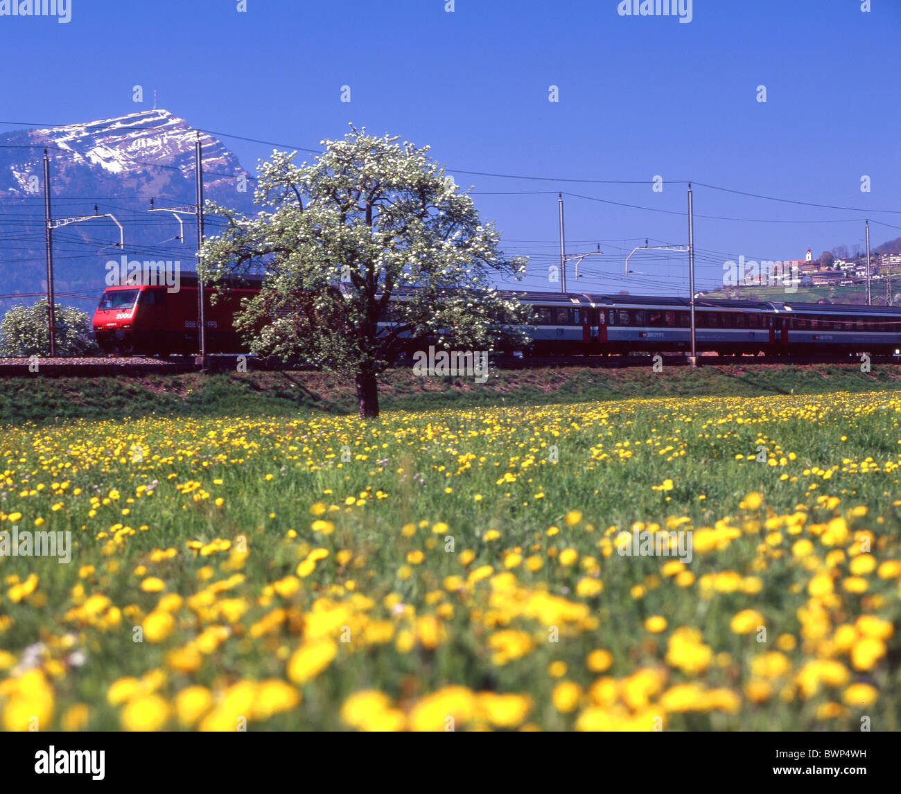 Lake lauerz Banque de photographies et d’images à haute résolution - Alamy