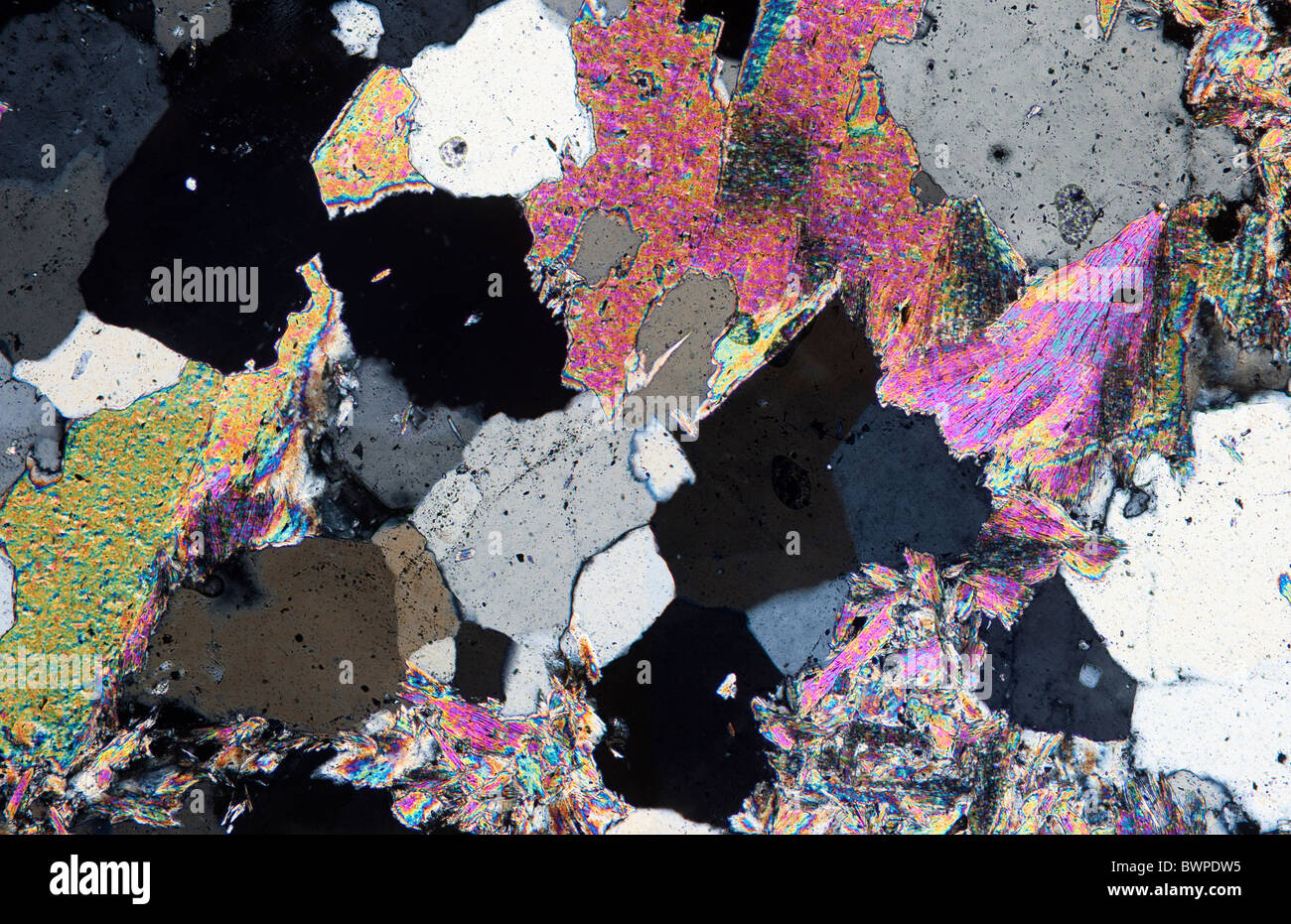 Lame de microscope géologique Banque de photographies et d’images à ...