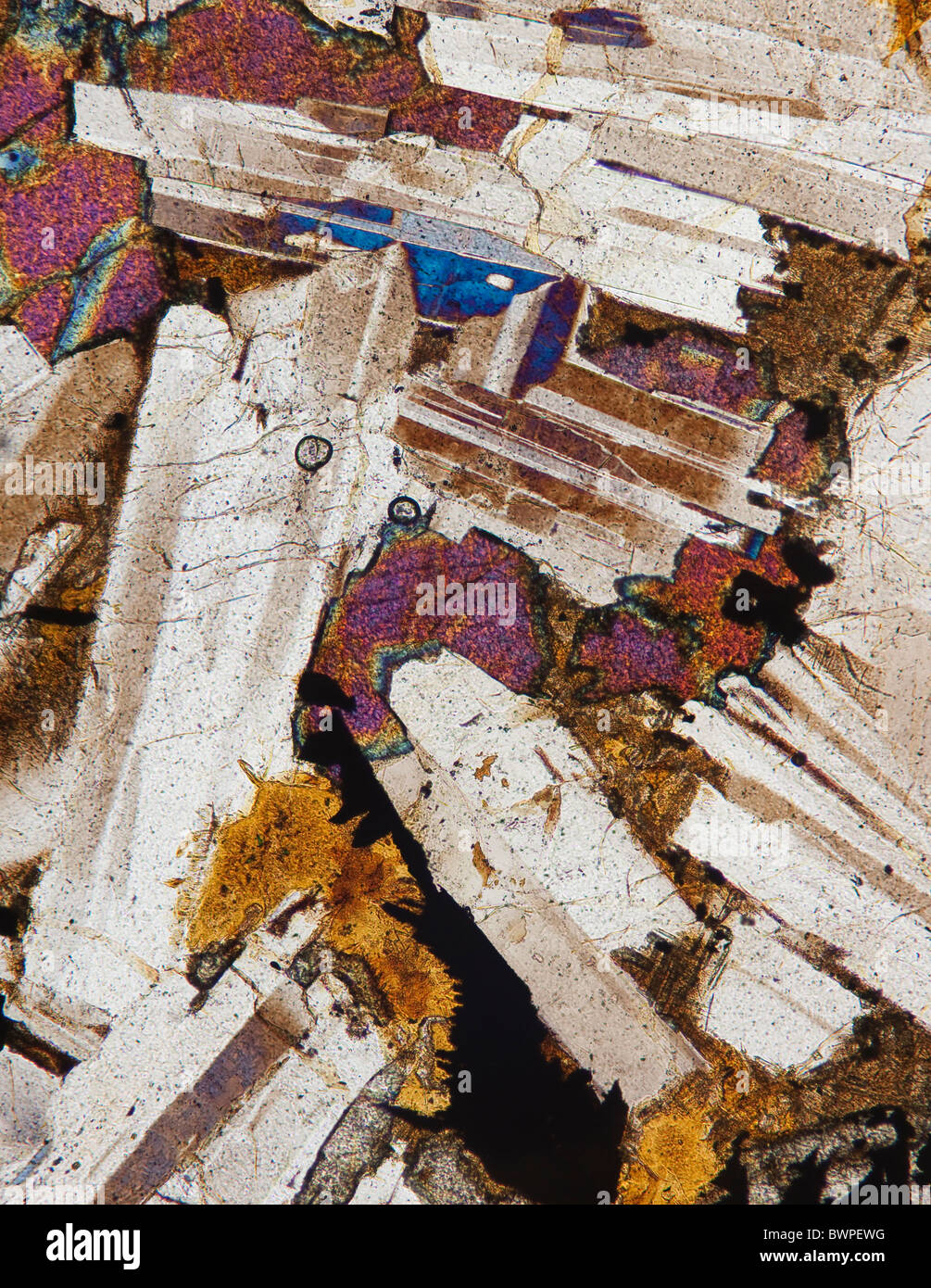 Lame de microscope géologique Banque de photographies et d’images à ...