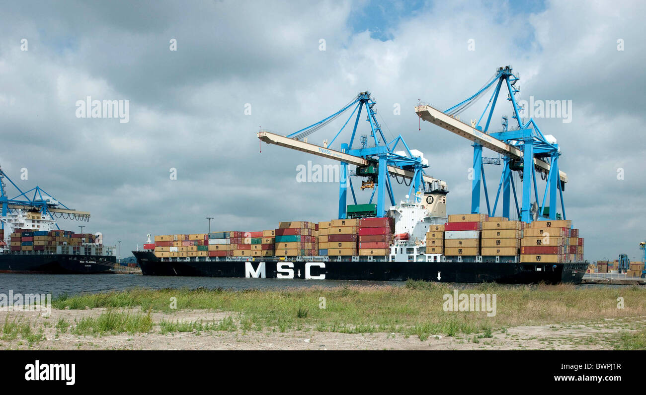 Conteneur msc Banque de photographies et d’images à haute résolution ...