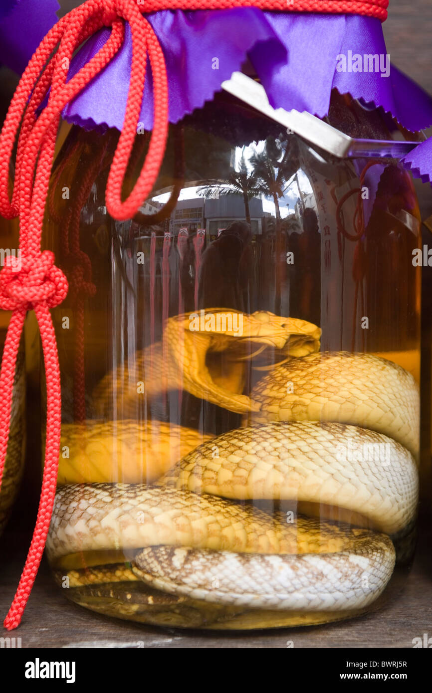 Snake in jar Banque de photographies et d’images à haute résolution - Alamy