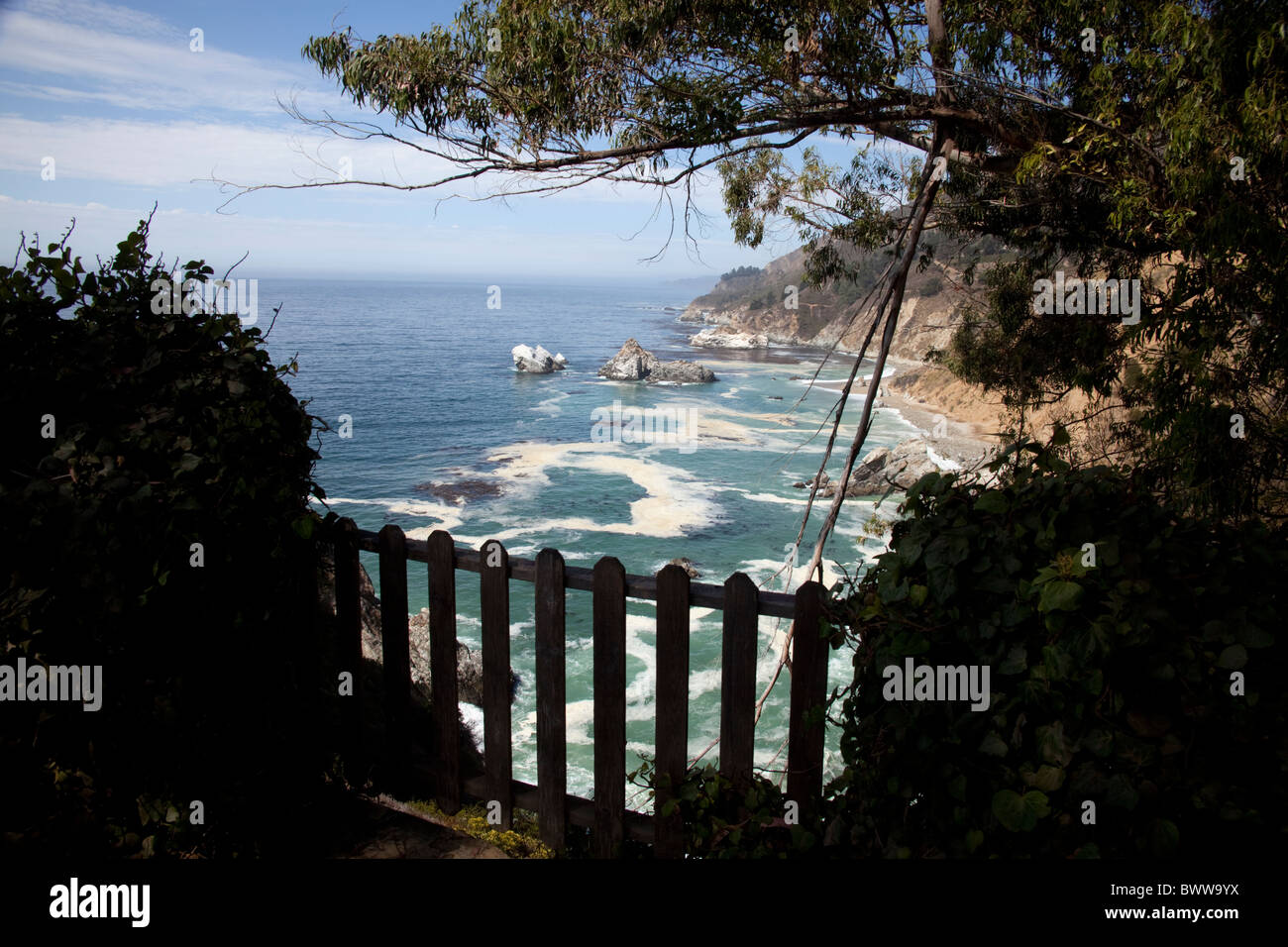 Julia pfeiffer Banque de photographies et d’images à haute résolution ...