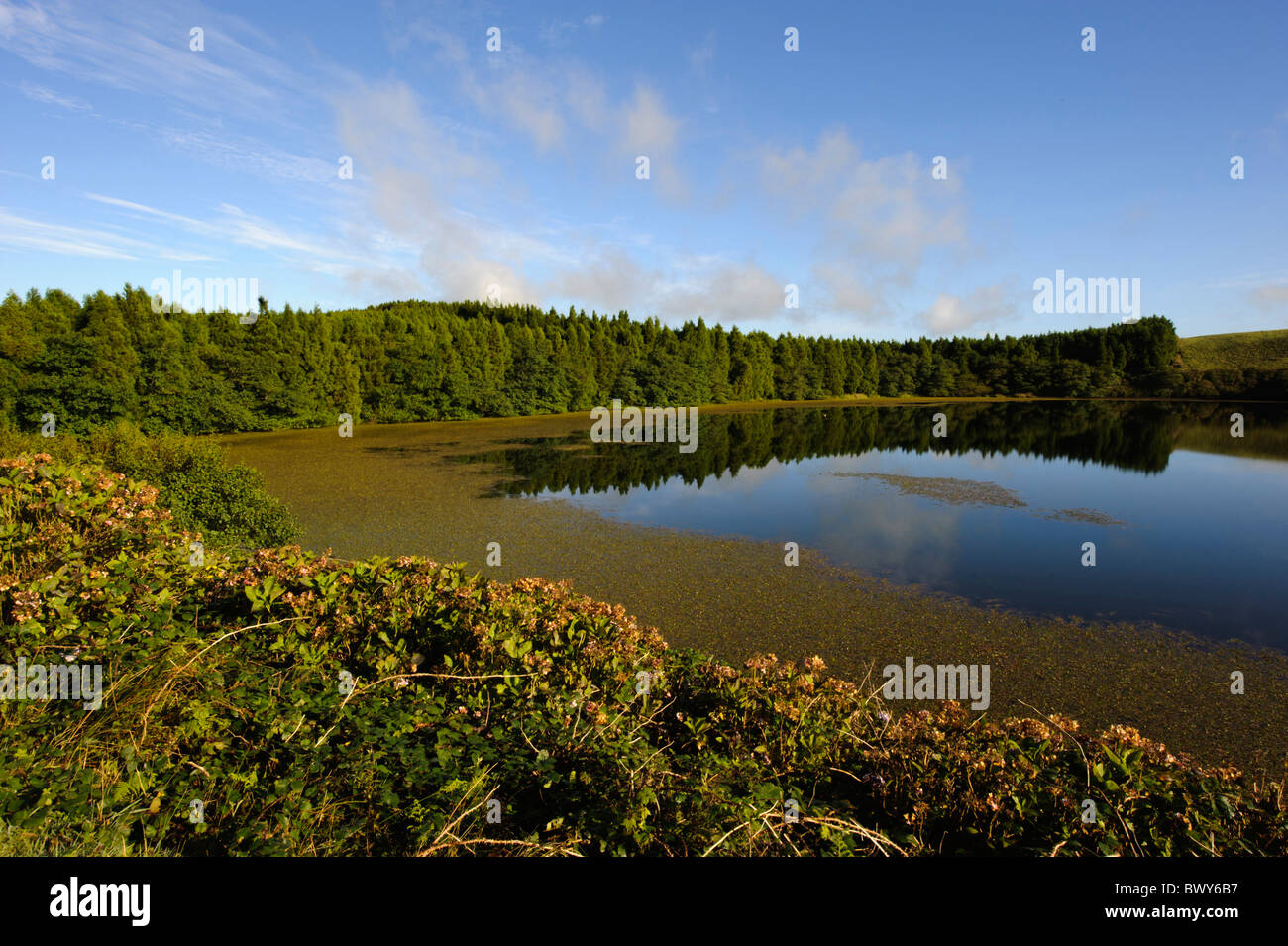 Lagoa da lomba Banque de photographies et d’images à haute résolution ...