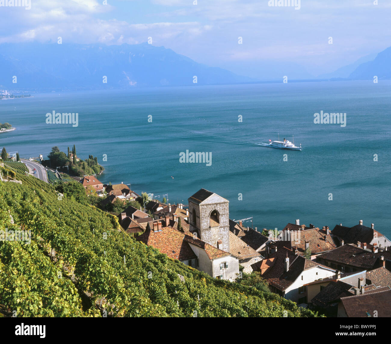 Village de Montagne Lac Léman canton Vaud Saint Saphorin Suisse Europe ...