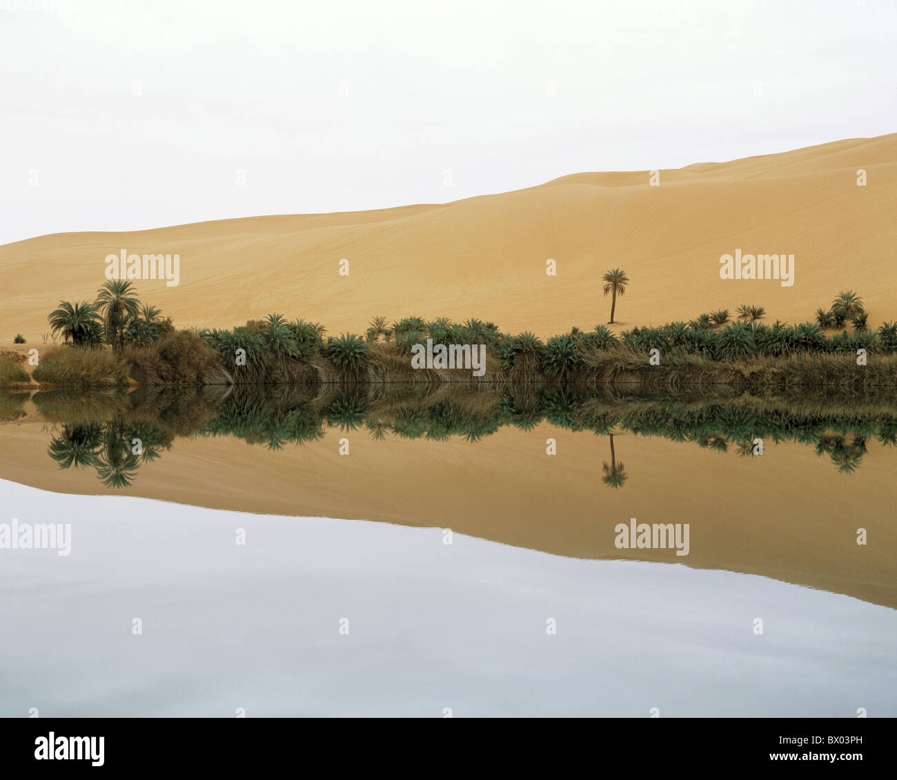 Umm al maa Banque de photographies et d’images à haute résolution - Alamy