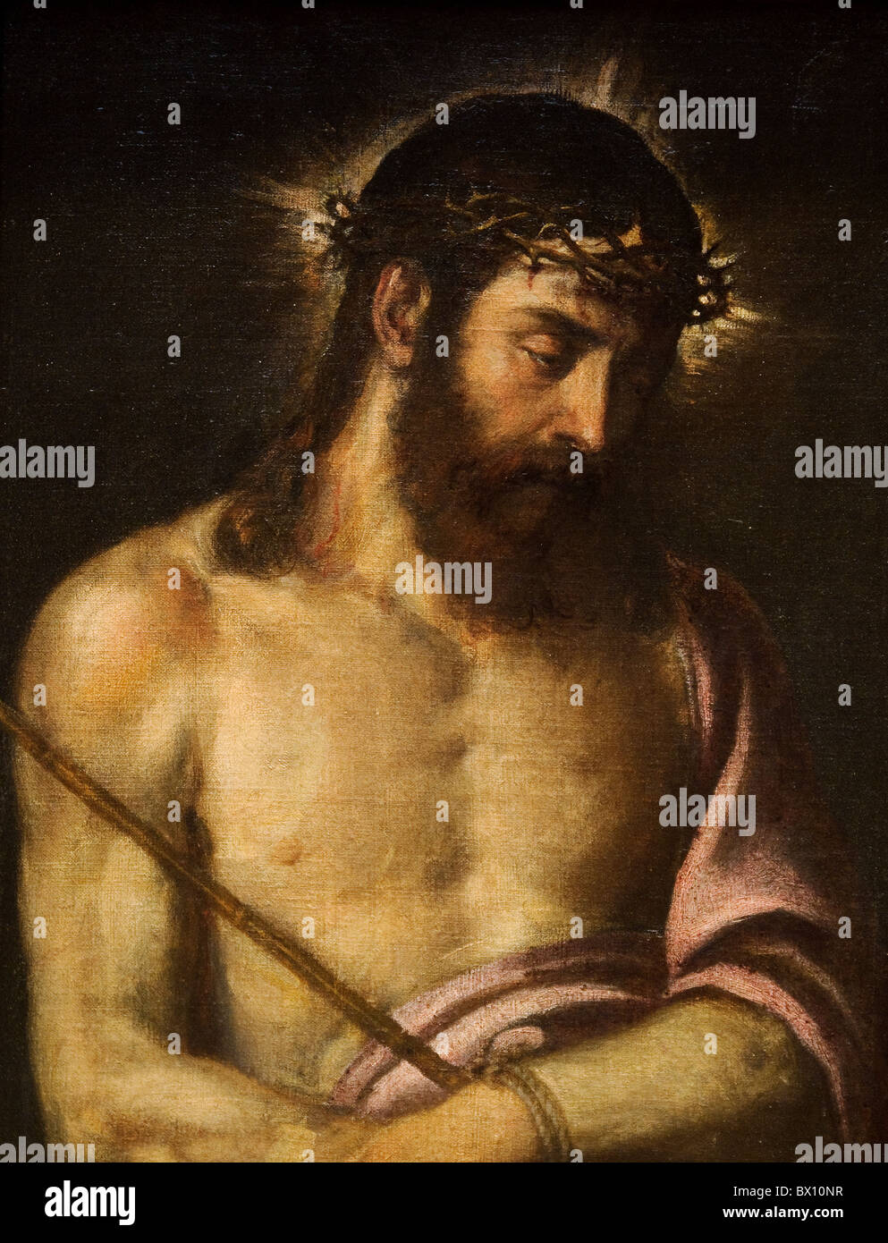 Titien épines Banque de photographies et d’images à haute résolution ...