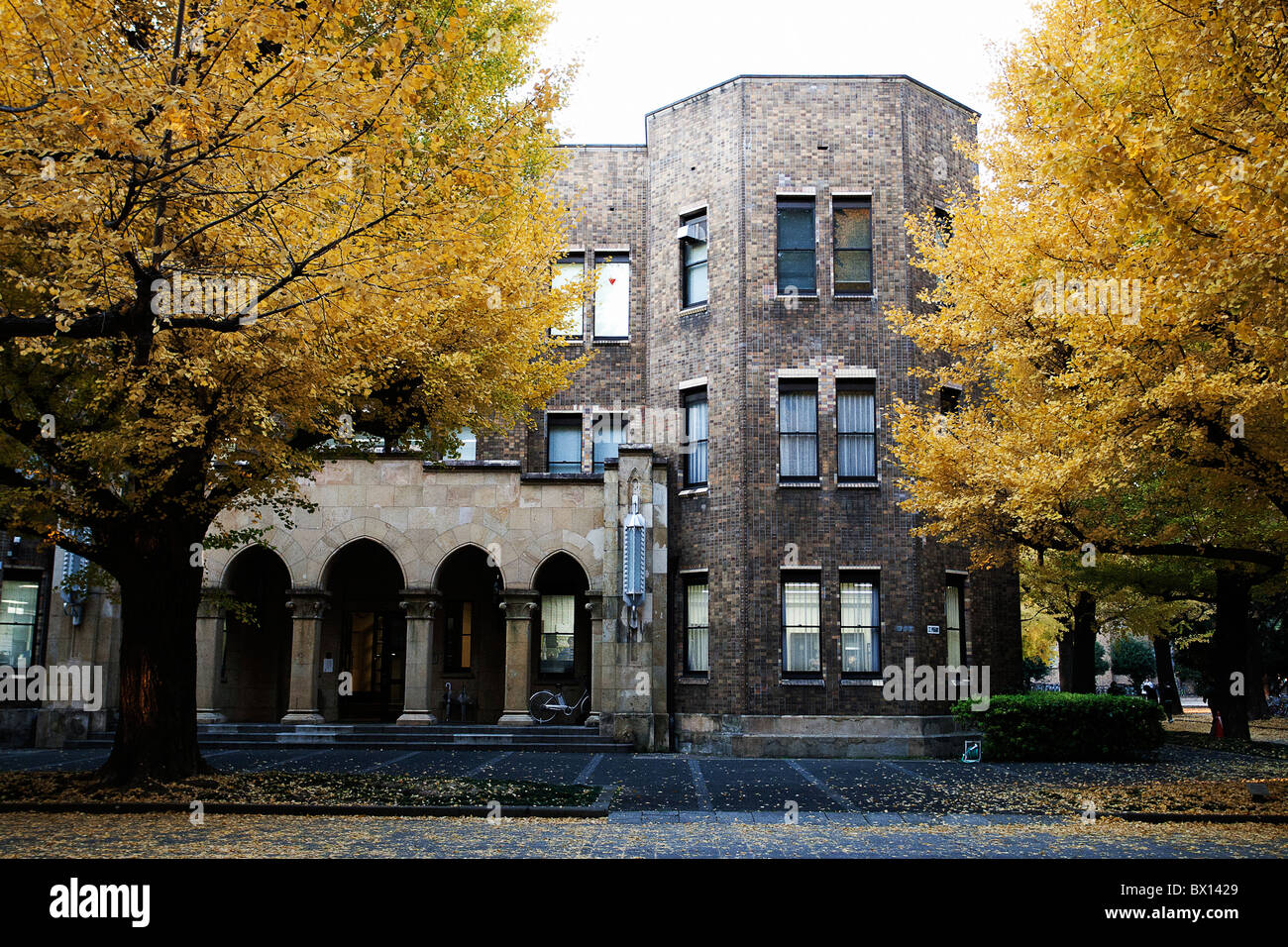 Campus hongo Banque de photographies et d’images à haute résolution - Alamy