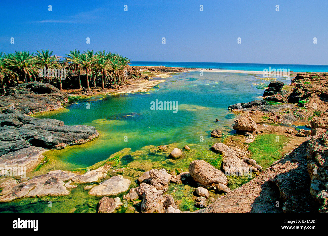 North coast socotra island yemen Banque de photographies et d’images à haute résolution - Alamy