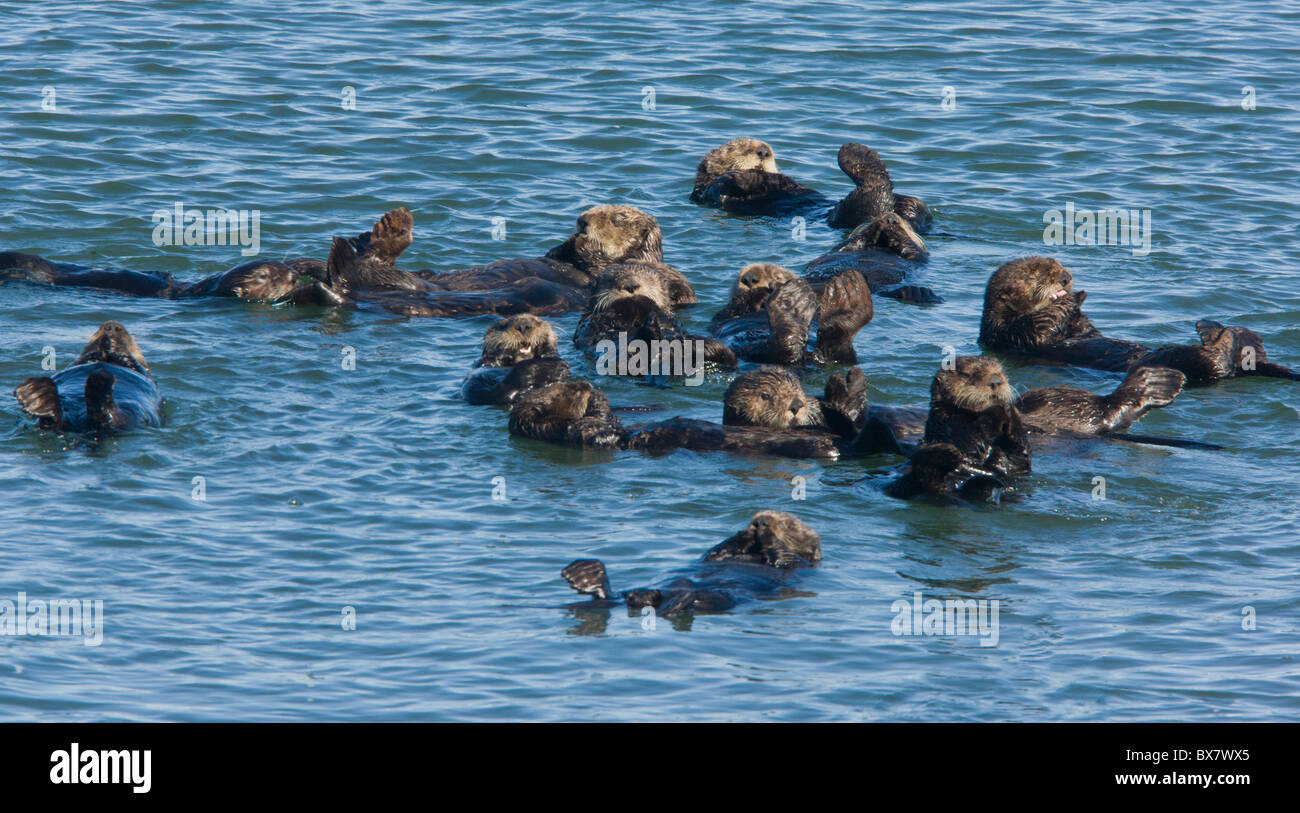 Grand radeau Banque de photographies et d’images à haute résolution - Alamy