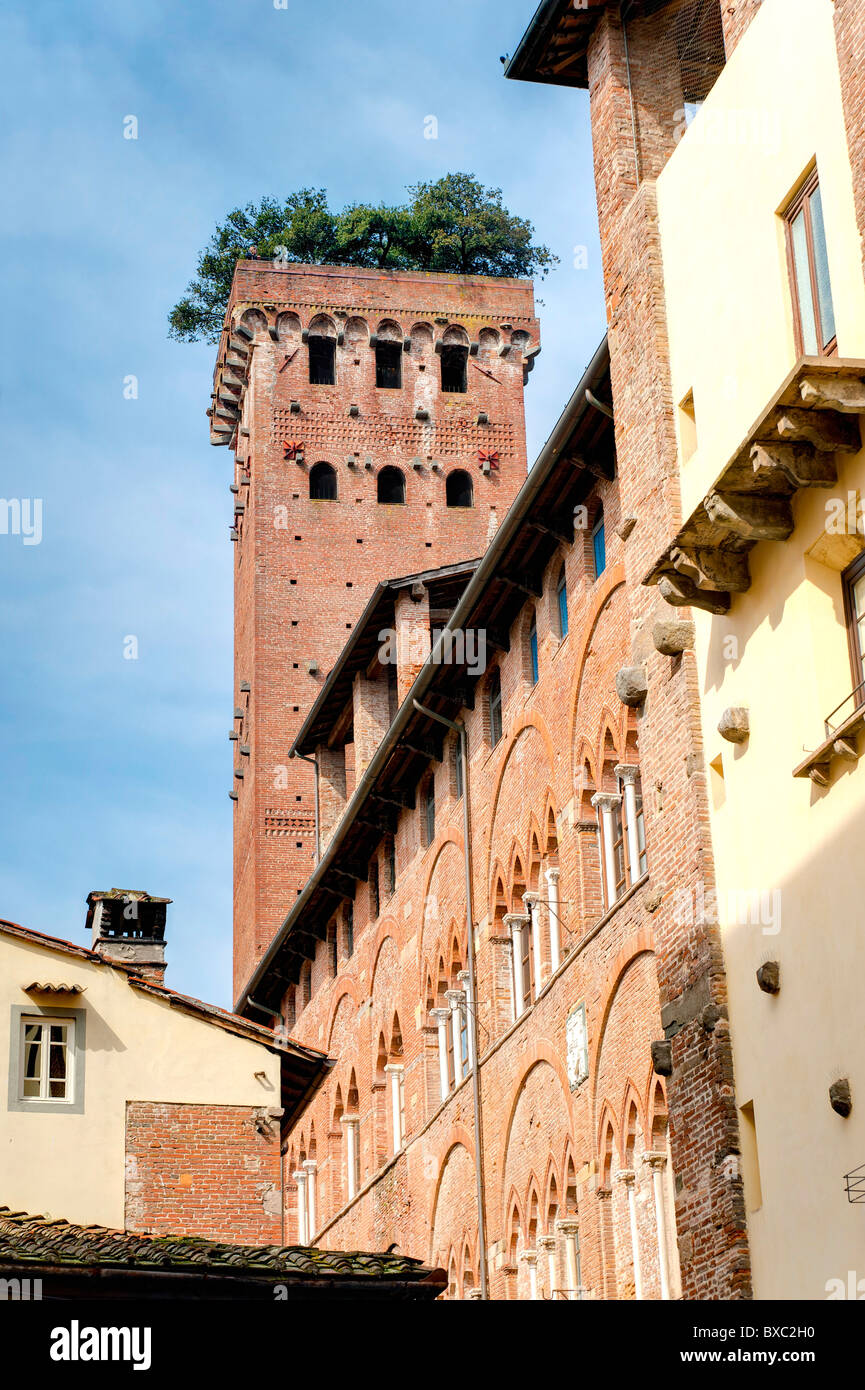 Lucca tower trees Banque de photographies et d’images à haute ...