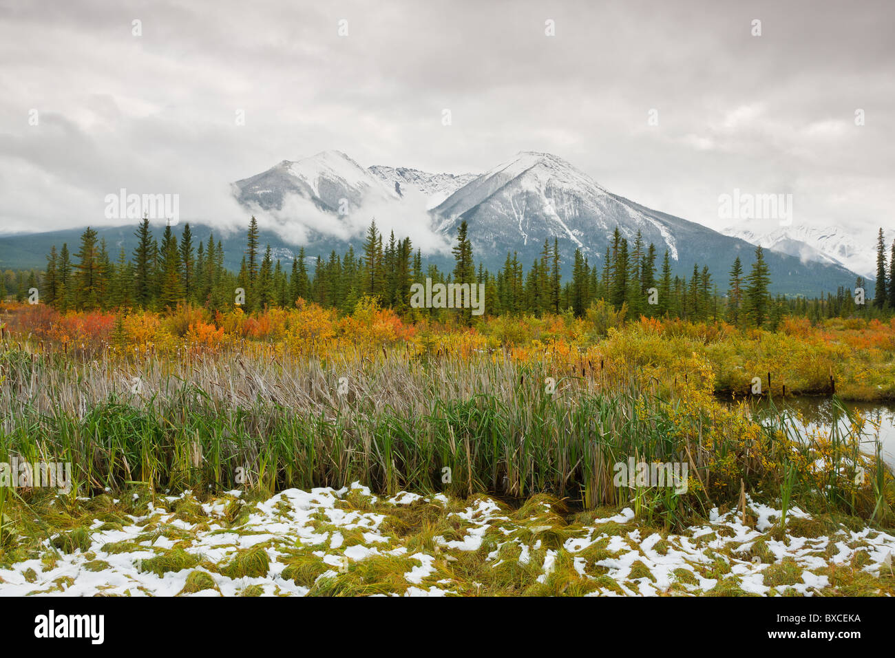 Parc national de vermillion lake banff Banque de photographies et d ...