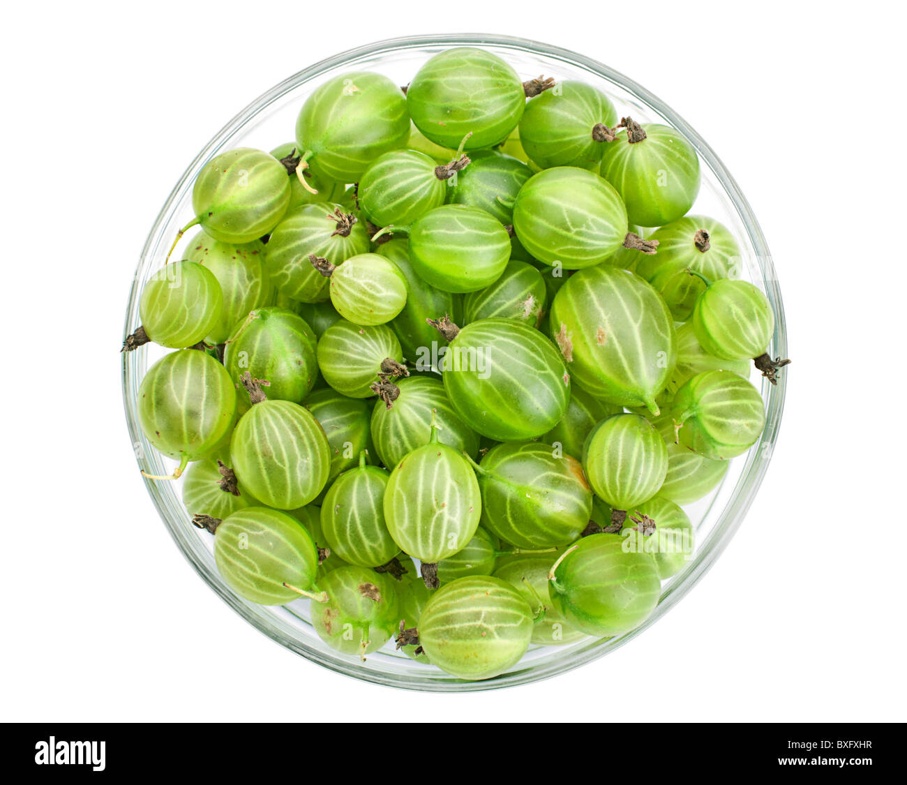 Groseille maquereau Banque de photographies et d’images à haute ...