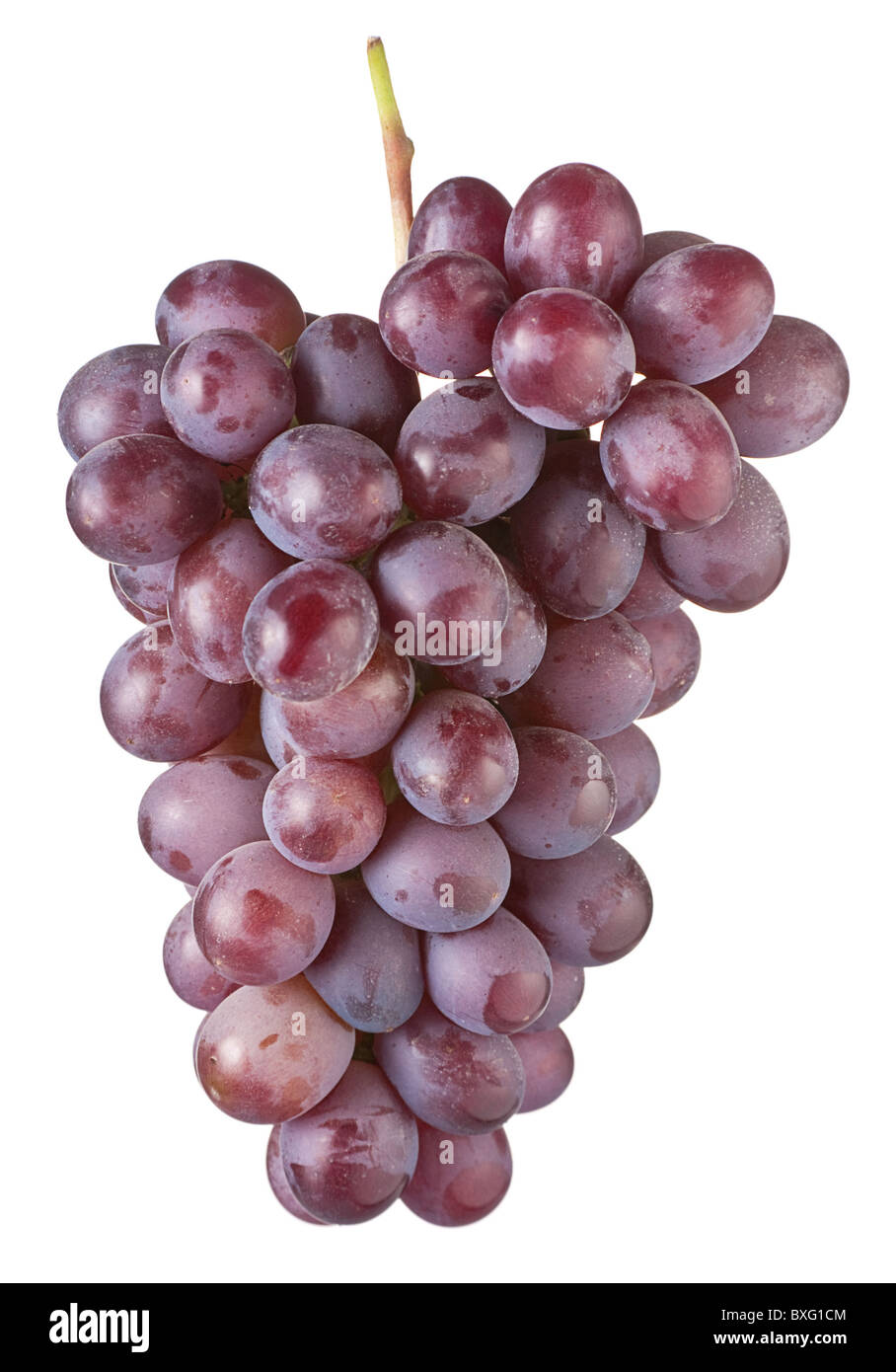 Du raisin Banque de photographies et d’images à haute résolution - Alamy